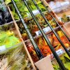 New Arrivals - Gorge Fly Shop, Inc