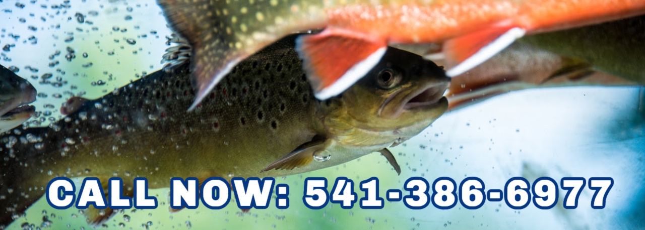 Gorge Fly Shop 30+ Years - Gorge Fly Shop, Inc